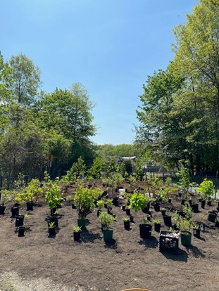 ABC Congratulates the Wu Administration and Mass Audubon on the Launch ...